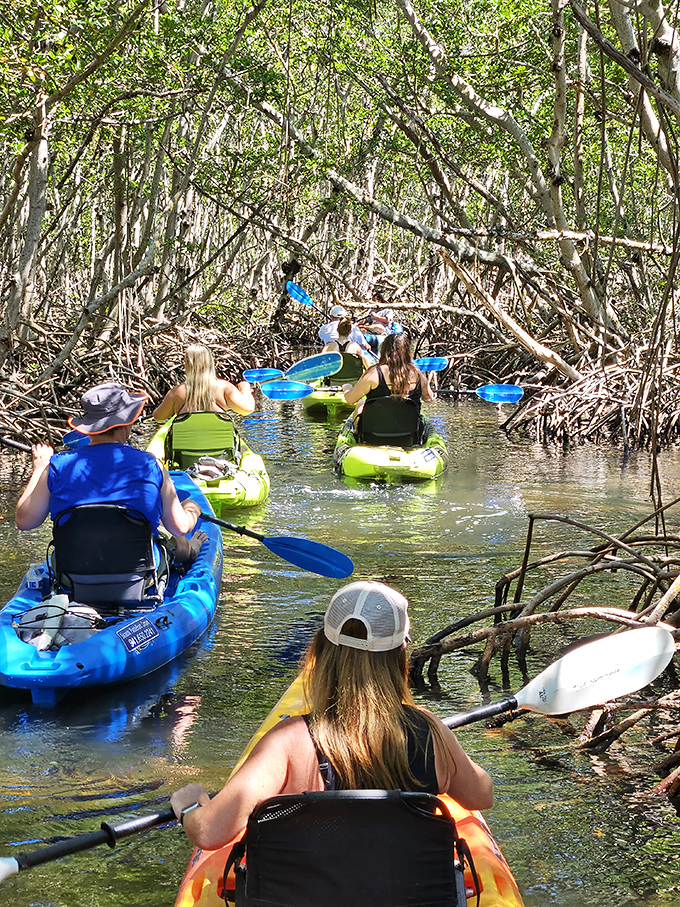 Follow the leader through nature's maze! These kayakers are experiencing Florida's version of Venice's canals, minus the gondoliers and tourist prices.
