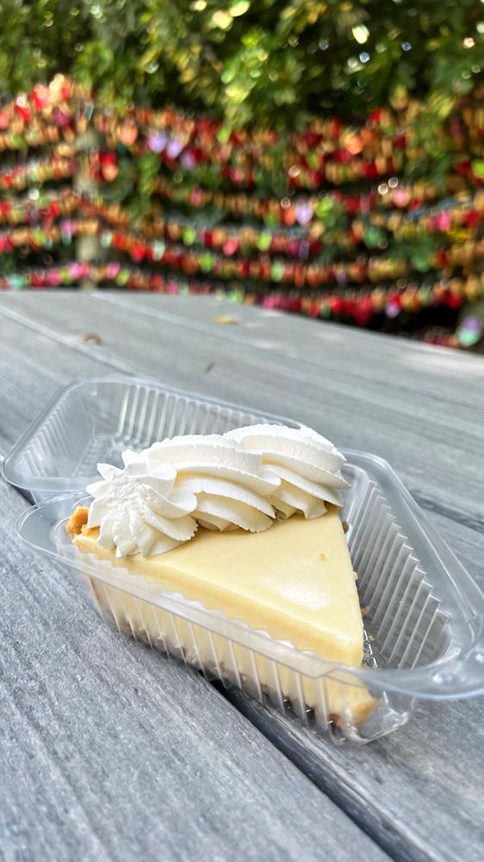 Behold the golden treasure that makes grown adults plan entire road trips around a single slice.