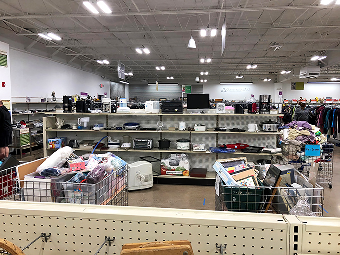 Small appliances with big potential line these shelves&mdash;where yesterday's bread makers and toasters await their second act in new kitchens.