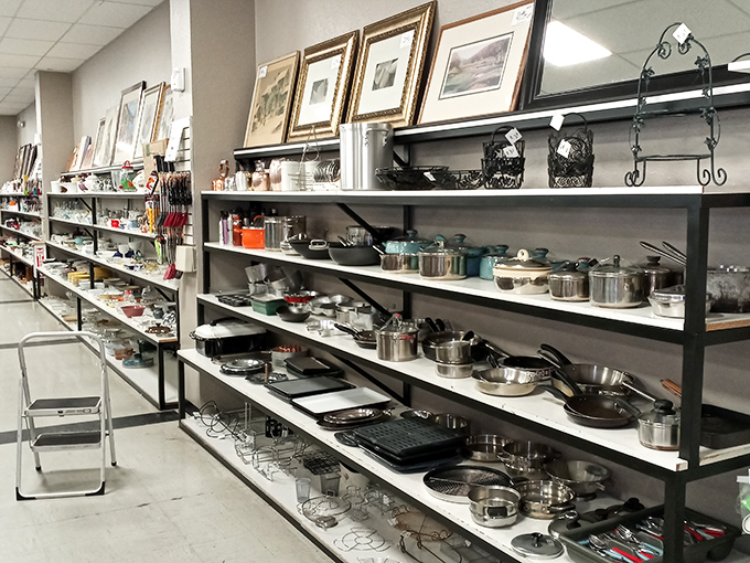Pots, pans, and culinary potential line these shelves. Julia Child probably started with someone else's cast-off cookware too.