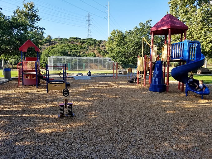 Childhood memories in the making. Chula Vista's neighborhood parks deliver old-school playground fun with those mountain views parents secretly enjoy more than the kids.