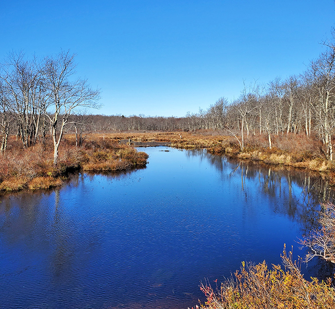 Winter's retreat reveals Tobyhanna's wetlands in all their blue-mirrored glory. Even the bare trees seem to admire their reflection.