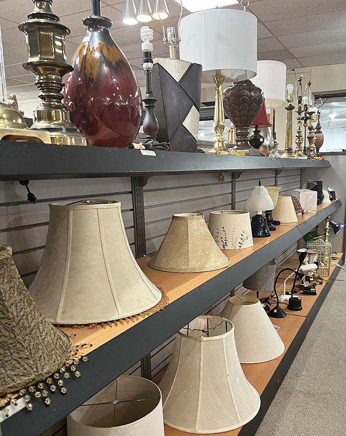 Lampshades lined up like soldiers of illumination, ready to brighten homes without dimming bank accounts in the process.