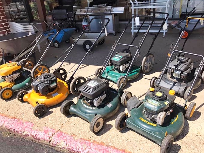 The lawnmower lineup looks like a retirement community for yard equipment, each with stories of suburban battles fought.