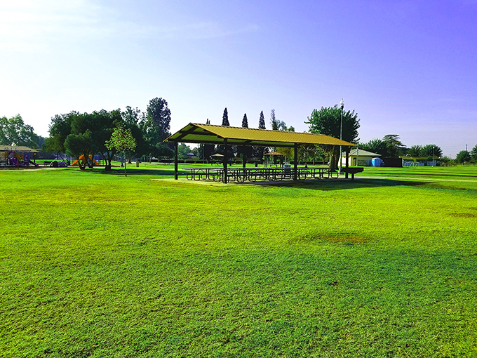 Green space that doesn't cost green. Lindsay City Park provides shaded picnic areas where families gather without breaking the bank.