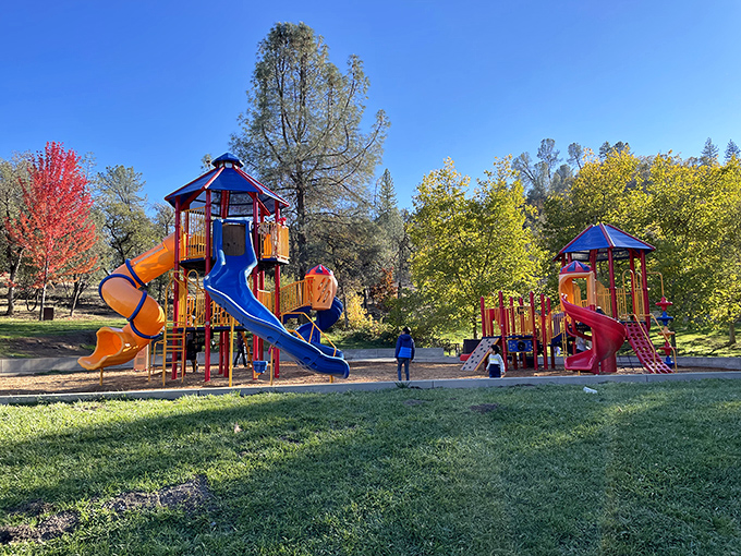 Childhood laughter echoes across Lions Park's vibrant playground, proving retirement doesn't mean you can't enjoy watching the next generation discover the simple joy of a good slide.