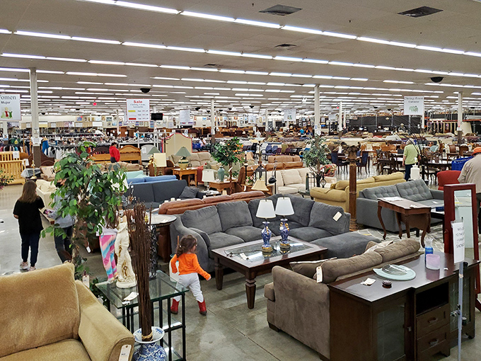 Furniture democracy in action! From mid-century masterpieces to "grandma chic" classics, every style gets equal representation in this congress of comfort.