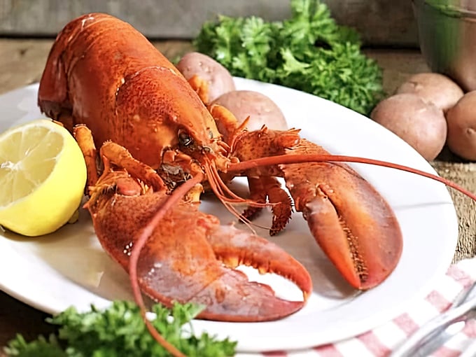 Meet the star of the show&mdash;a lobster so perfectly prepared it might just wave back at you with those magnificent claws.