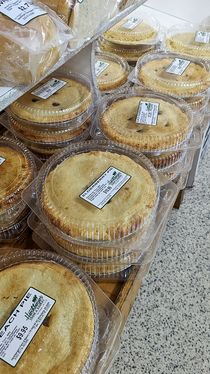 Pie paradise! These golden-crusted beauties aren't just desserts&mdash;they're edible time machines to your grandmother's kitchen.