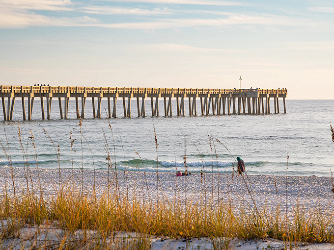 This wooden pier stretches toward the horizon like a runway for dreams, offering affordable fishing and dolphin-watching opportunities daily.