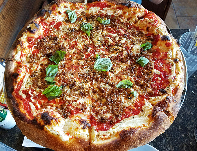 Pizza perfection achieved! The coal-fired crust with its signature char spots cradles bright tomato sauce, melted cheese, and fresh basil&mdash;simplicity elevated to art form.