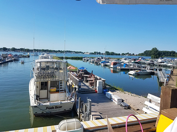 Boats bob peacefully in the protected harbor waters. A floating neighborhood where everyone waves and nobody complains about your music choices.