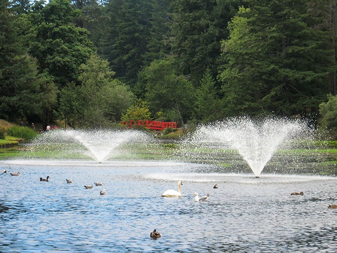 Mingus Park's serene pond and fountains offer a tranquil escape just minutes from downtown. Swan boats not included, but the peace and quiet certainly is.