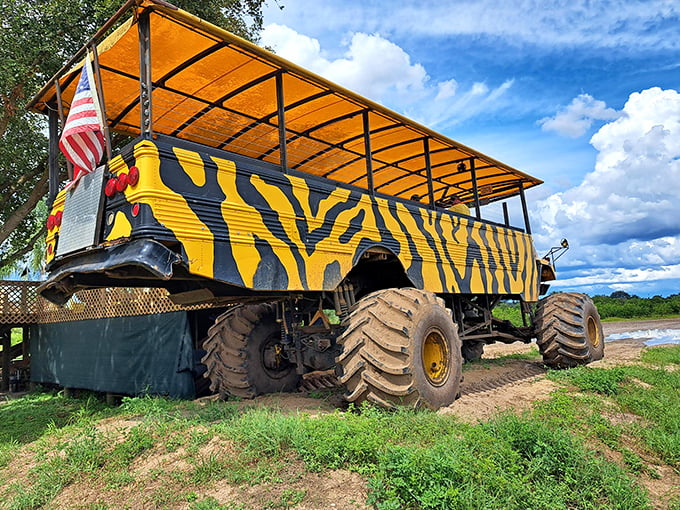 This tiger-striped monster truck makes your grandson's toy collection look positively pedestrian by comparison.
