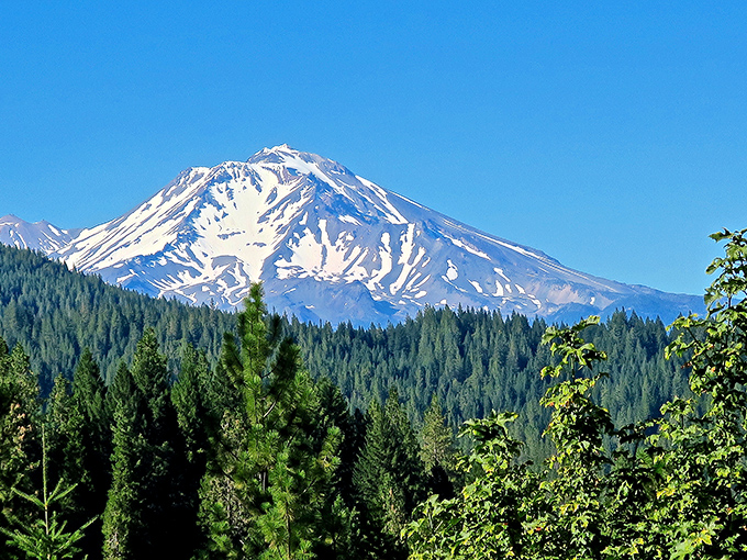 Mount Shasta looms majestically on the horizon, nature's exclamation point saying "Yes, Northern California really is this gorgeous!"