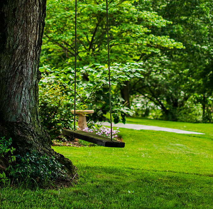 Just moments from the bridge, simple pleasures await&mdash;like this inviting tree swing that beckons visitors to pause and enjoy the countryside.