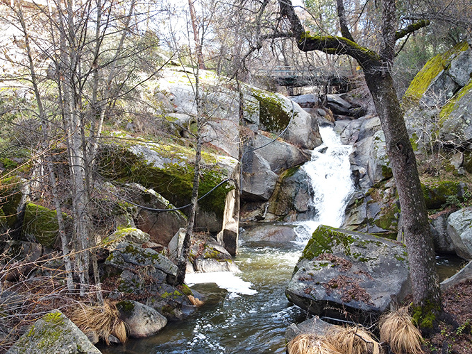 Nelder Creek's hidden waterfall whispers secrets that only patient hikers get to hear firsthand.