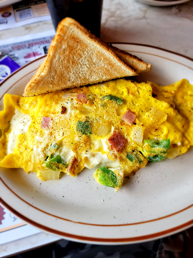 This Western omelet doesn't just satisfy hunger &ndash; it tells a story of perfect egg technique and ingredients in harmonious balance.
