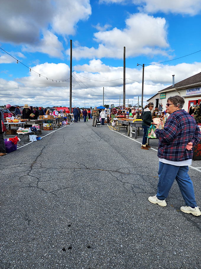 The open-air marketplace buzzes with activity under Pennsylvania skies, as shoppers scan tables for that perfect something they didn't know they needed.