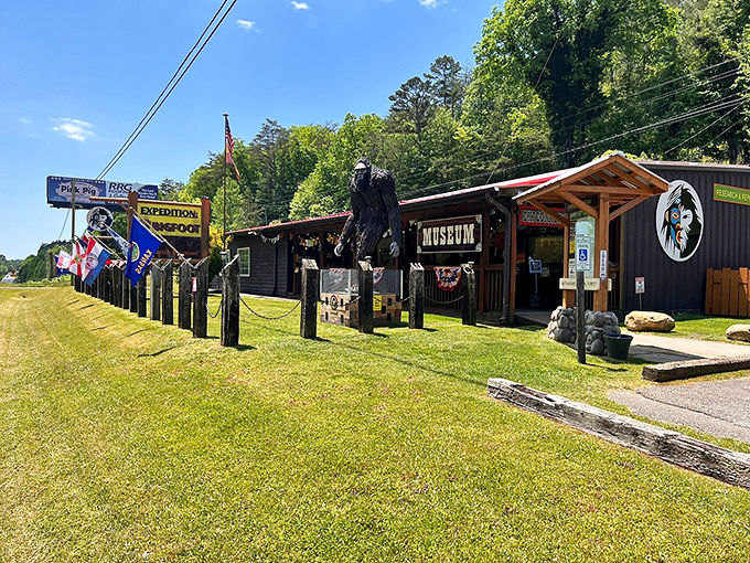 The museum's rustic exterior perfectly complements its woodland setting. That Bigfoot silhouette logo is practically winking at you, daring you to believe.