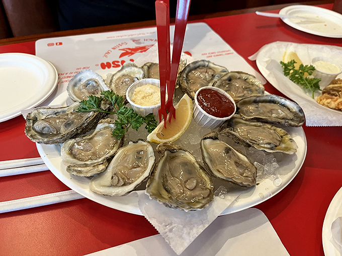 Fresh oysters on the half shell&mdash;nature's perfect appetizer. Briny treasures served with classic accompaniments that make you feel like royalty of the sea.