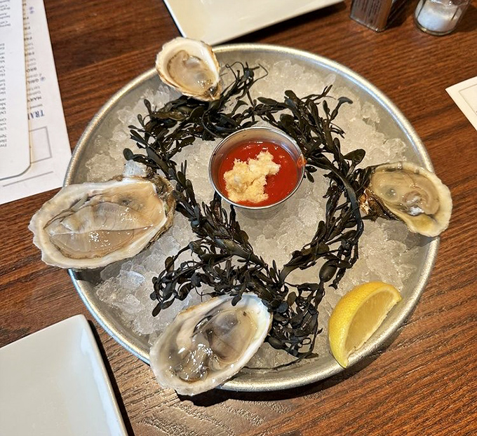 These glistening oysters aren't just seafood&mdash;they're time machines to the coast. Served on ice with seaweed and cocktail sauce for a proper oceanic experience.