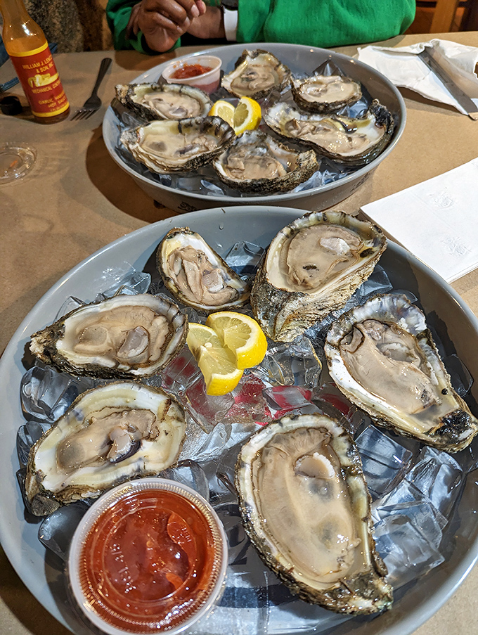 Fresh oysters on ice—nature's perfect appetizer. These briny beauties are just waiting for a squeeze of lemon and a moment of appreciation.