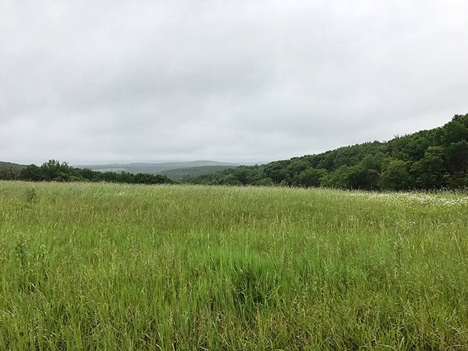 Sweeping vistas stretch endlessly, proving Pennsylvania's scenery can compete with any travel magazine cover you've ever seen.