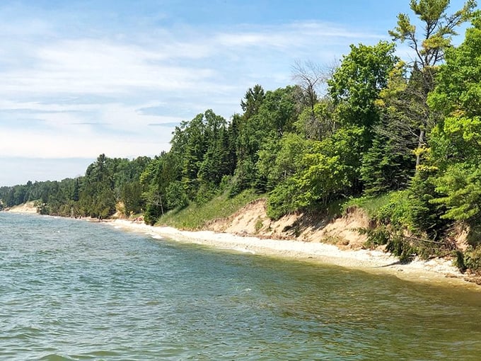 Dramatic shorelines that would make coastal snobs do a double-take. The meeting of forest and water creates a landscape worthy of your phone's home screen.