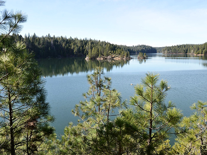 Paradise Lake reflects the surrounding pines like nature's most perfect mirror. Fish jump and osprey soar in this retirement playground.