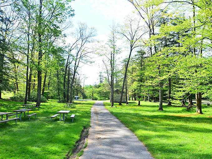 A path that promises possibilities. This sunlight-dappled walkway through Kooser's grounds seems to whisper, "Slow down, you're on nature's time now."
