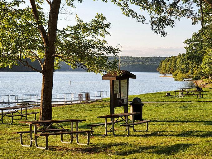 Picnic paradise awaits! These tables aren't just for eating—they're front-row seats to nature's greatest show, complete with lake views and whispers of pine.