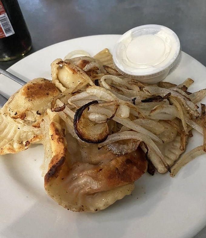 Golden-brown pierogi lounging with caramelized onions &ndash; Poland's gift to the world looking absolutely ready for its close-up.