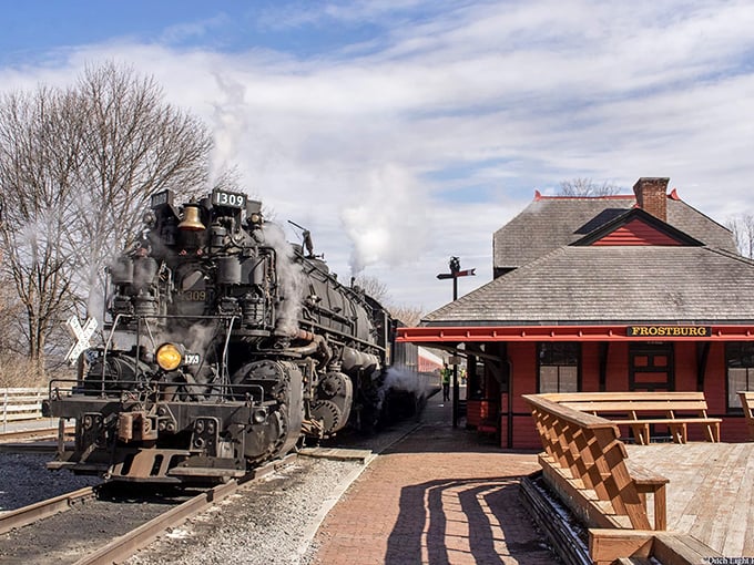 Steam engine 1309, affectionately known as "Maryland Thunder," takes a breather at Frostburg Station. Even centenarian locomotives need to catch their breath occasionally.