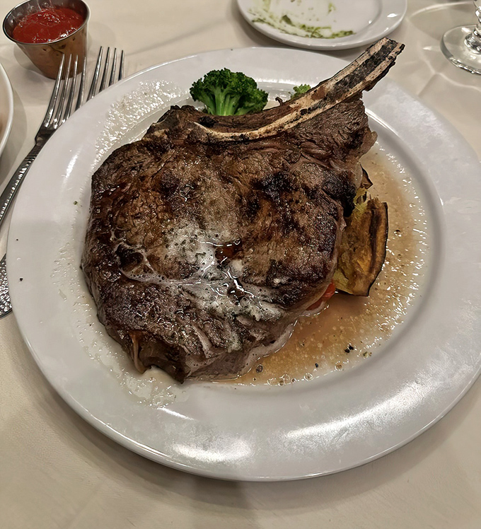 This isn't just a steak; it's a monument to bovine excellence. The bone standing tall like a flagpole claiming territory on your plate.