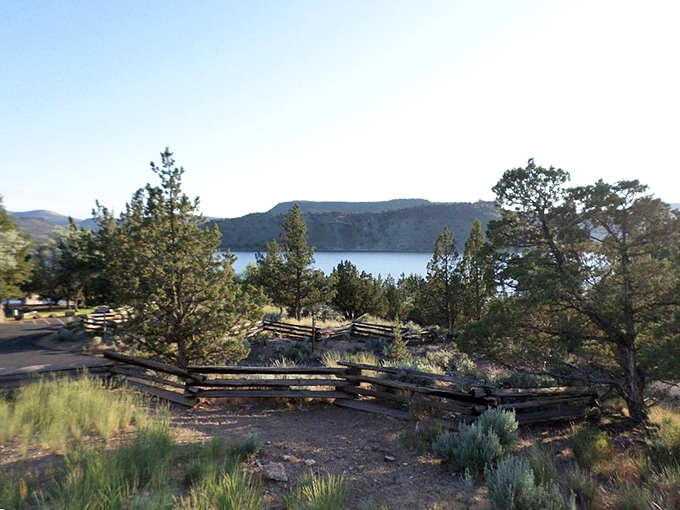 Prineville Reservoir's shoreline offers that perfect blend of rugged and serene. Where pine trees stand guard over waters that shimmer like liquid sapphire