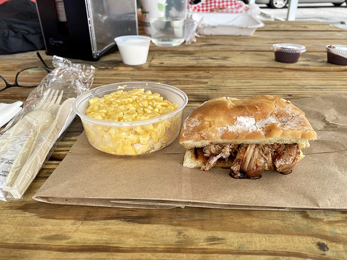 Pulled pork sandwich perfection! Tender, smoky meat piled high on a soft bun with mac and cheese that's unapologetically comfort-food glorious.