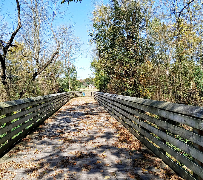 Nature's red carpet treatment&mdash;this wooden walkway invites you to slow down and remember when paths were meant for meandering, not marathons. 
