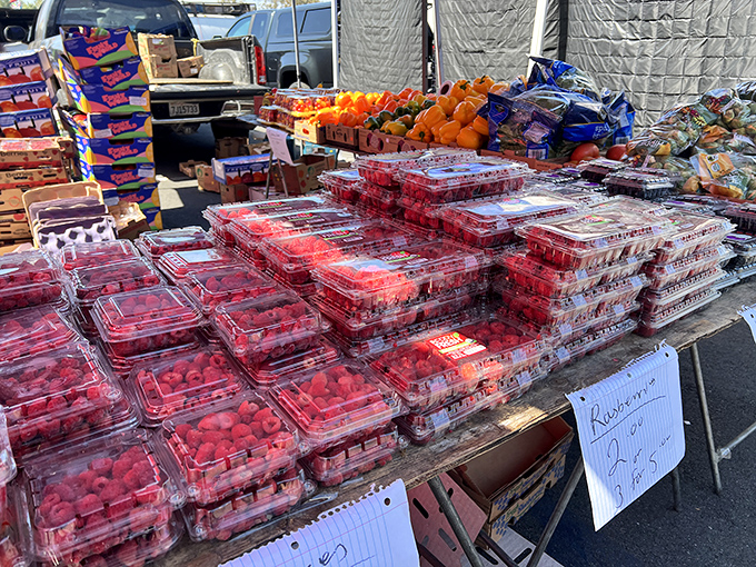 Berry bonanza that puts grocery stores to shame! These ruby-red raspberries look like they were plucked from a garden just moments ago.