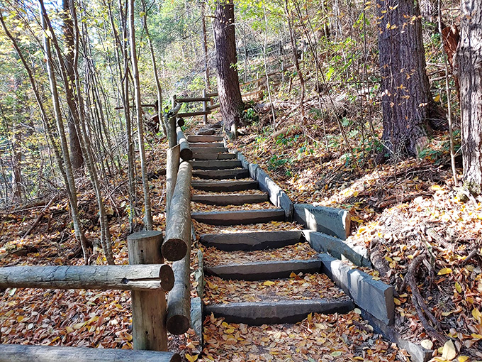 Autumn transforms the trail into a golden pathway, with fallen leaves creating nature's carpet leading adventurers to watery rewards ahead.