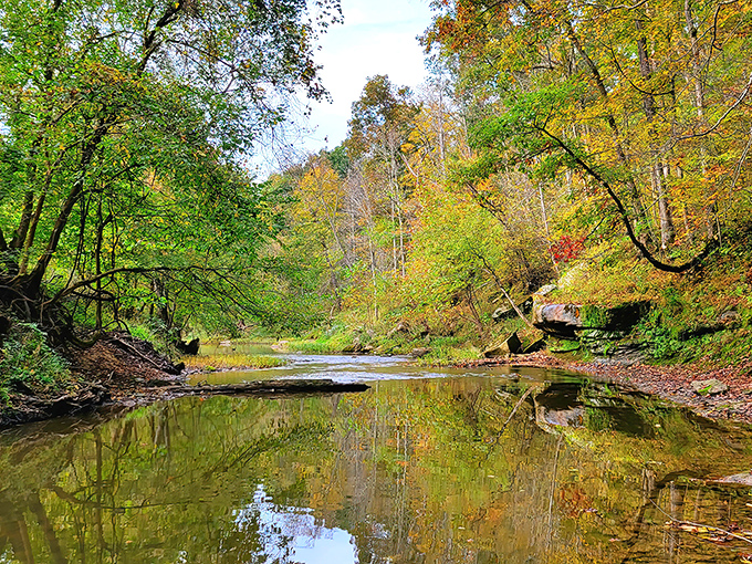 Nature's mirror: Wolf Creek creates perfect reflections of autumn foliage, a scene that would make Bob Ross reach for his happy little brushes.
