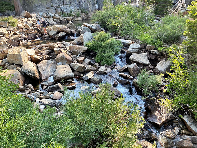 Nature's obstacle course: A gentle stream meanders through boulder fields, creating mini-waterfalls that sound like nature's own meditation app.