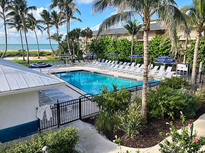 Pool with a view? Check. Swaying palms? Double check. The only thing missing is you with a tropical drink in hand.