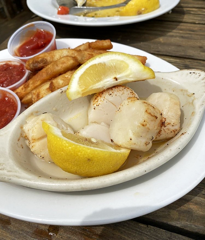 These scallops aren't just cooked&mdash;they're respected. Sweet, tender morsels kissed by heat and lemon, proving simplicity is the ultimate sophistication.