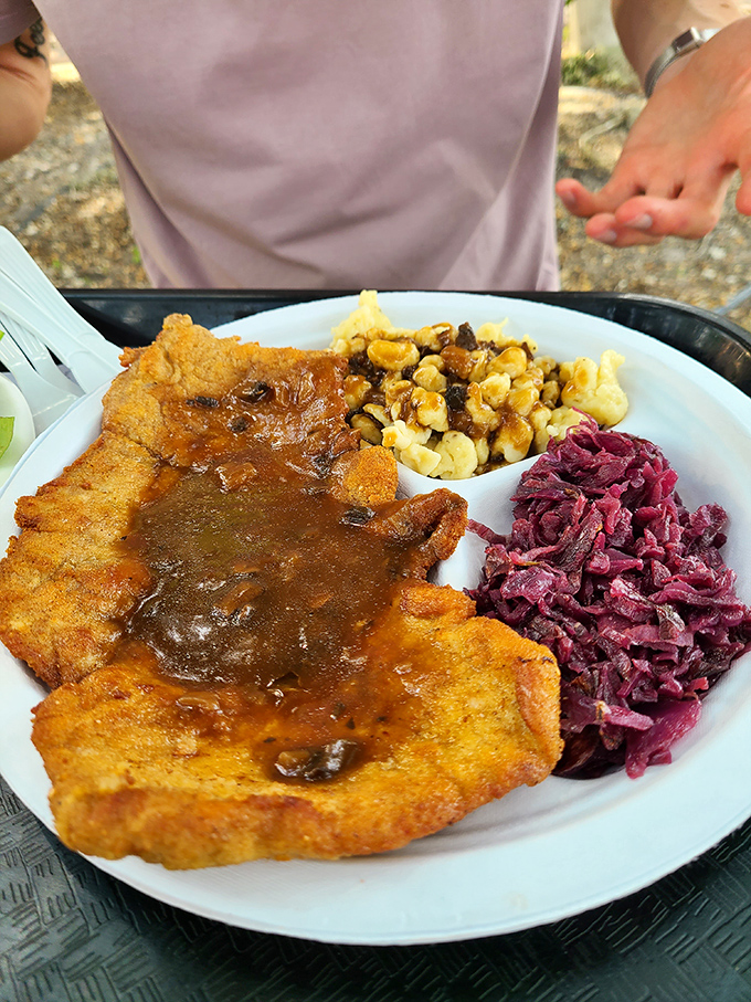 Not all heroes wear capes—some wear golden-brown breading. This schnitzel with gravy, spätzle, and red cabbage is Bavaria's answer to Florida's humidity.