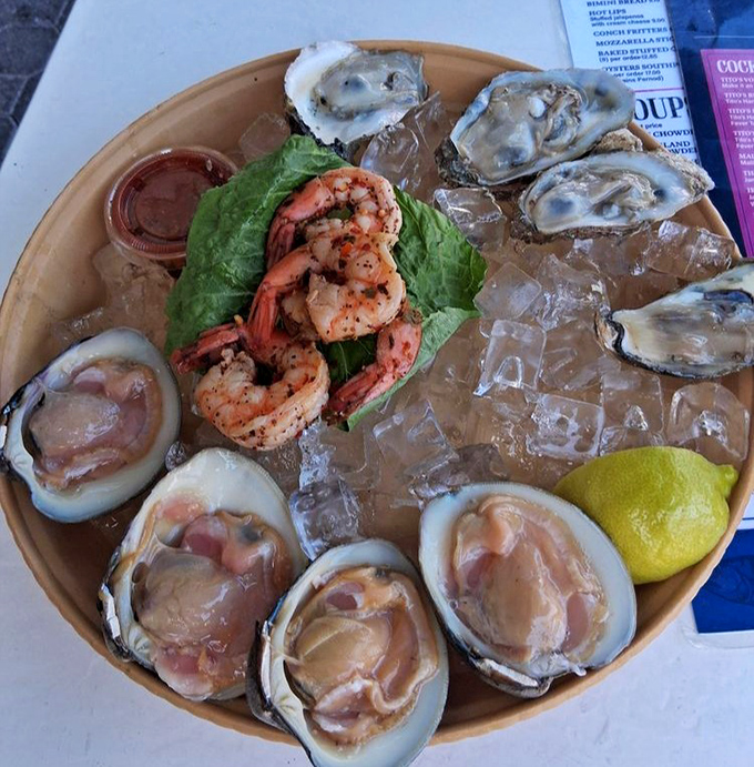 Ocean's greatest hits on ice! This seafood platter isn't just a meal, it's a maritime celebration where every bite whispers briny secrets of the deep.