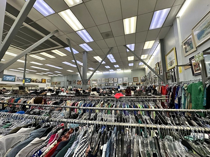 An ocean of clothing racks stretches to the horizon, each hanger a potential "where did you find that?" conversation starter.