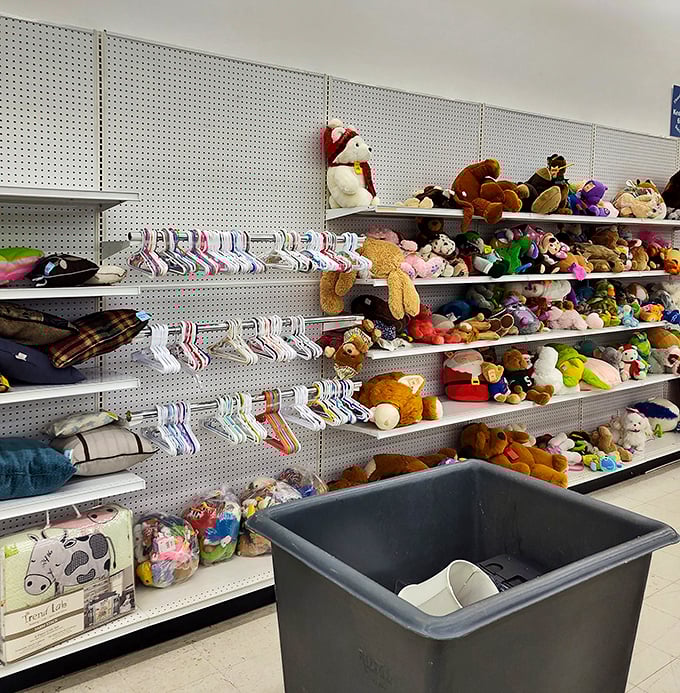 Stuffed animal kingdom! These pre-loved plush pals wait patiently for their second chance at cuddles&mdash;the adoption fee won't break the bank.