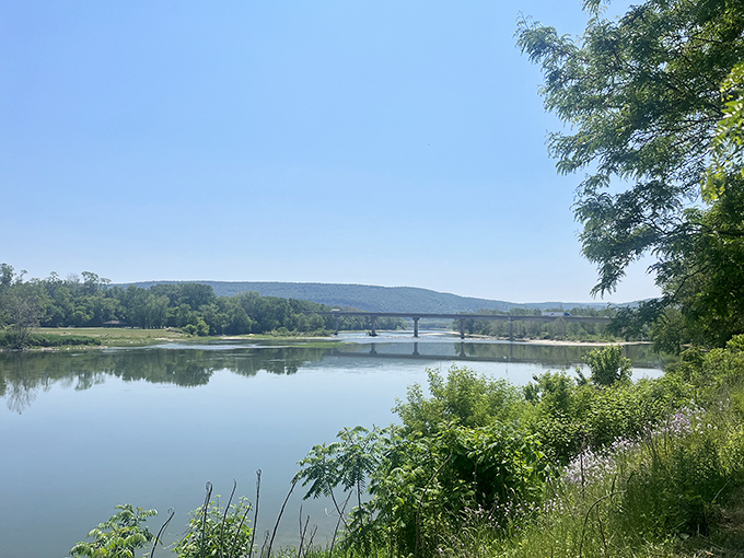 The Susquehanna River glides past Towanda like nature's own meditation app. Serenity now, retirement goals forever.