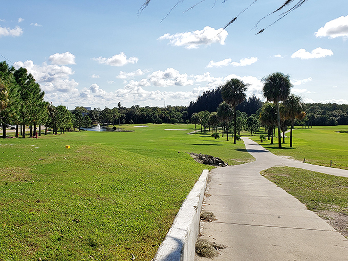 Golf enthusiasts find their paradise at Tarpon Springs' verdant course, where water hazards and palm trees create a quintessentially Floridian sporting experience.